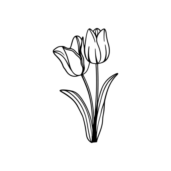 Lale çizim vektörler, vektör çizimler, vektörel grafik | Depositphotos