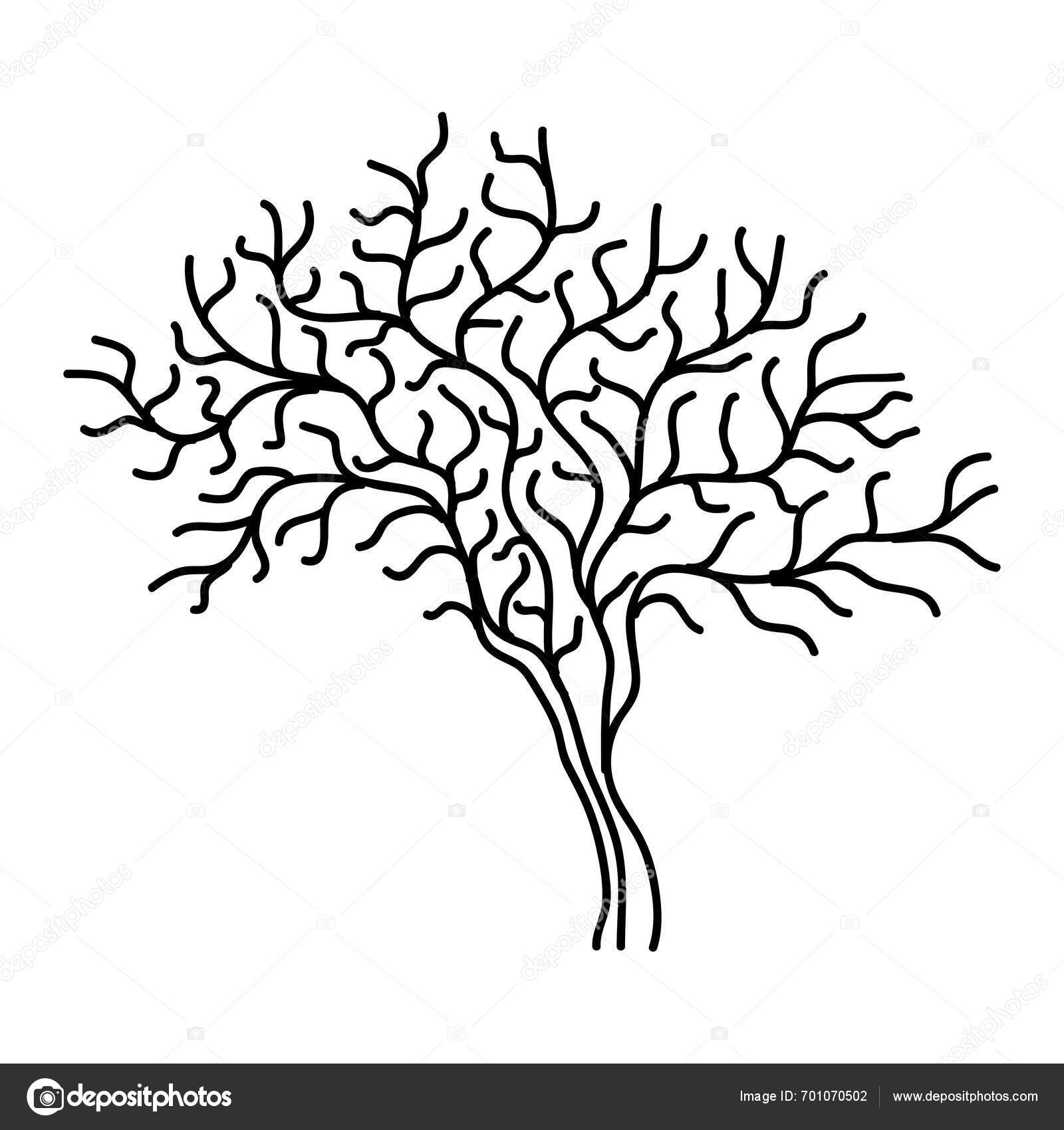 Hand Drawn Tree Outline Tree Line Art Black White Sketch Stock Vector ...