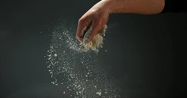 Coconut Cocos Nucifera Fruit Powder Exploding Black Background — Stock ...