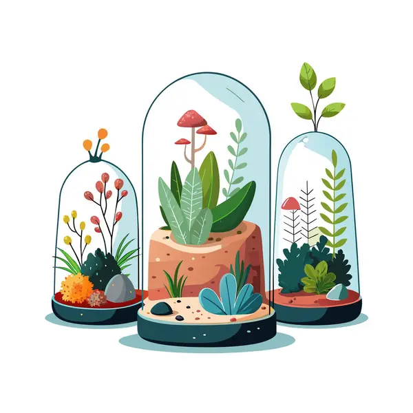 10,654,346 Planta de terrario Vector Images | Depositphotos