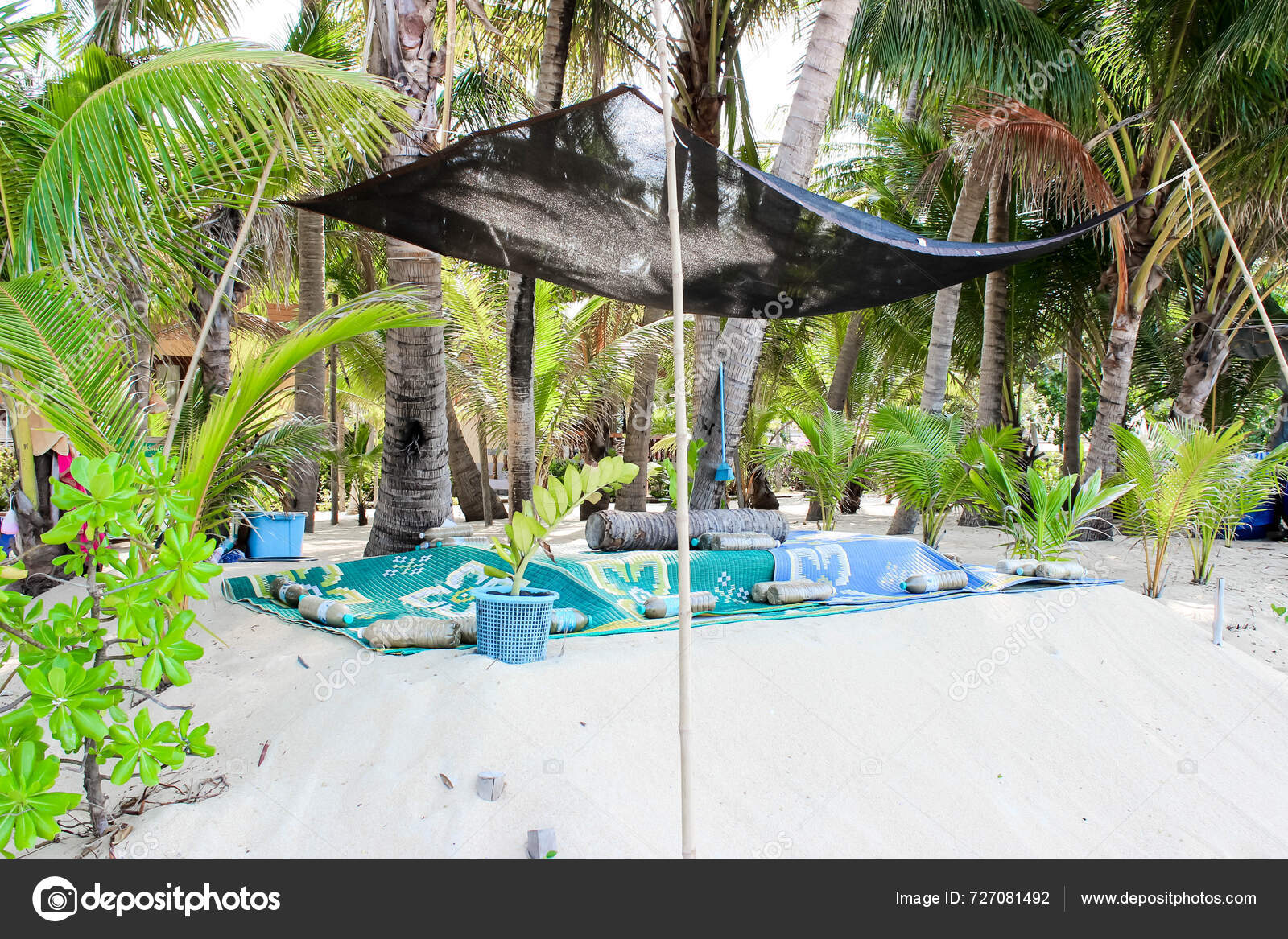 Tropical Beach Setup Shaded Area Blankets Cushions Palm Trees Serene ...