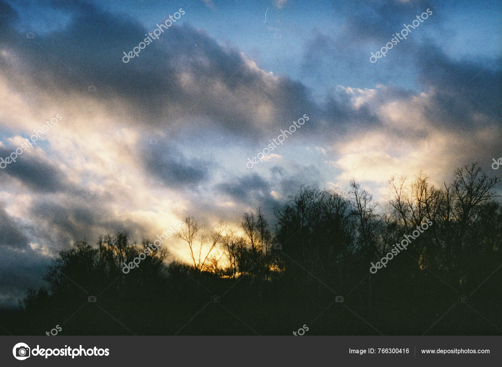 Sky Displays Stunning Sunset Dramatic Clouds Casting Tree Silhouettes ...