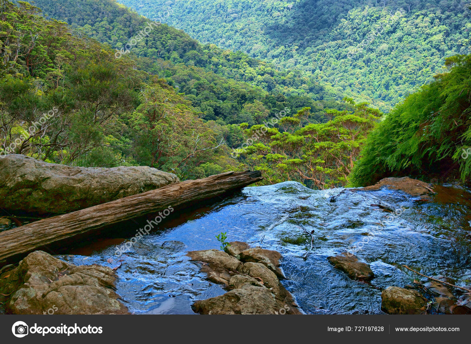 Springbrook National Park Queensland Australia — Stock Photo © OZCAM ...