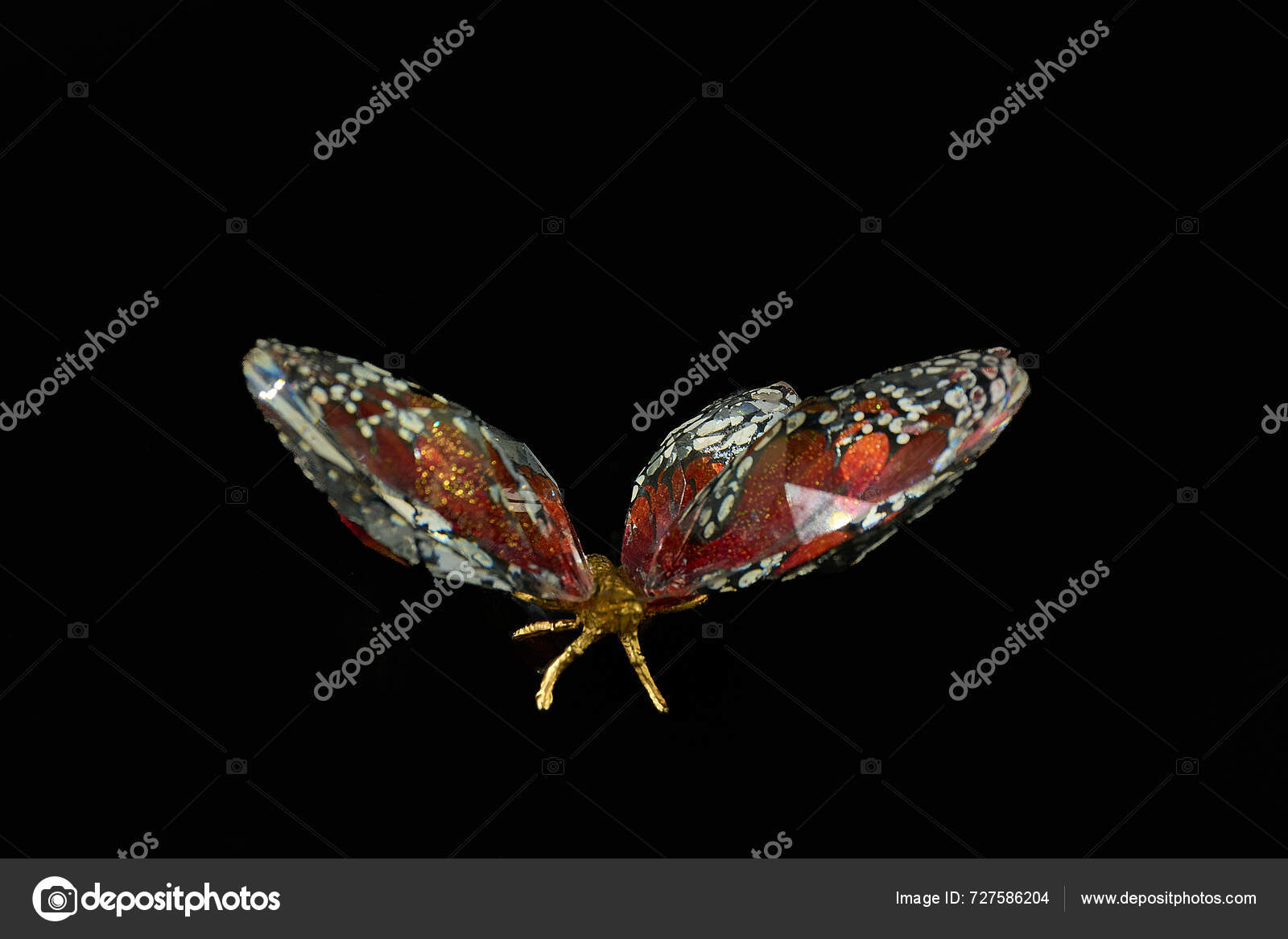 Butterfly Black Background — Stock Photo © uvamenfoto@gmail.com #727586204