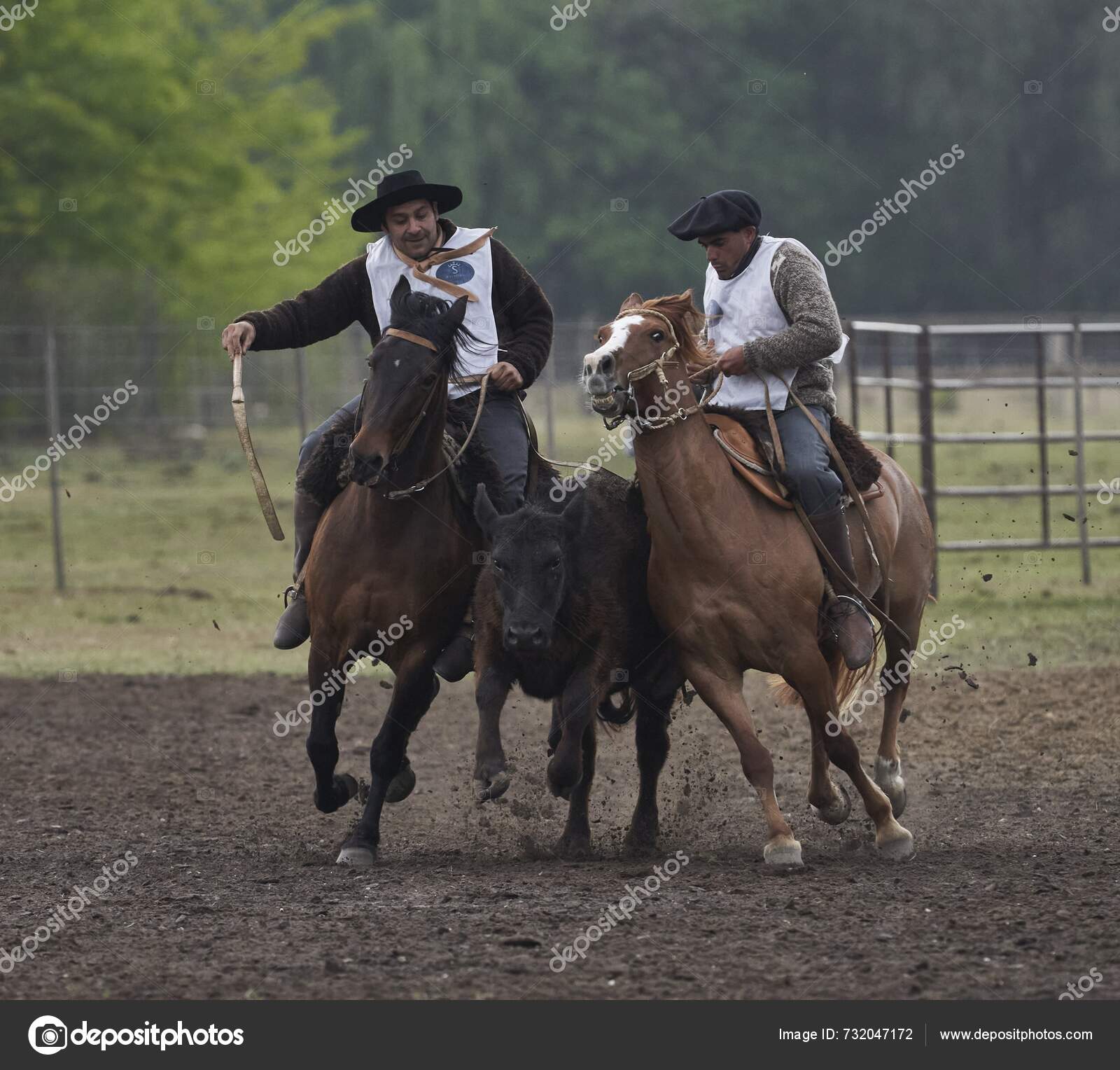 Buenos Aires Argentina Gaucho Demonstration Dressage Equestrian Skills ...