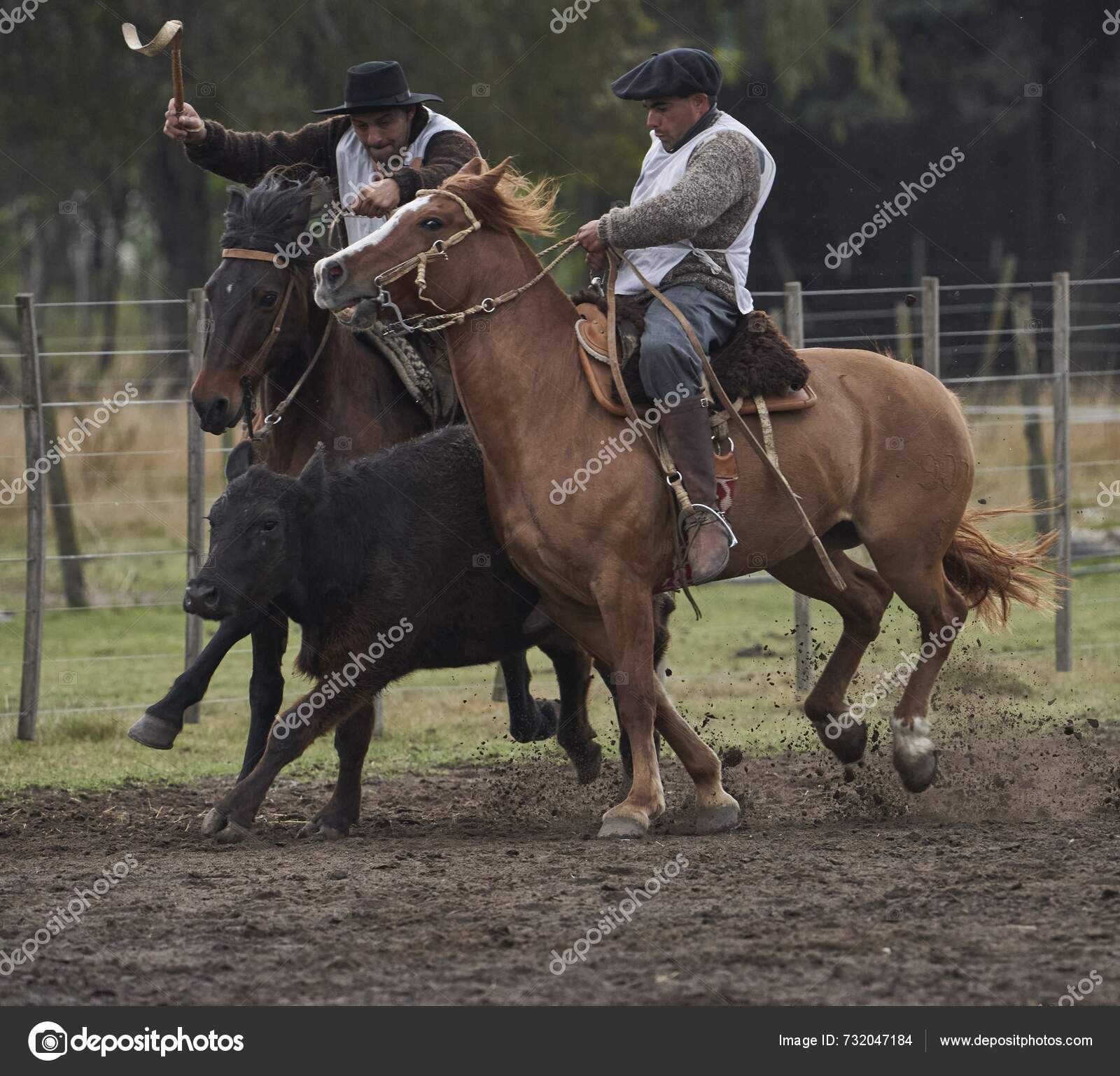 Buenos Aires Argentina Gaucho Demonstration Dressage Equestrian Skills ...