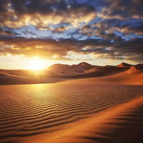Sunset desert Stock Photos, Royalty Free Sunset desert Images ...