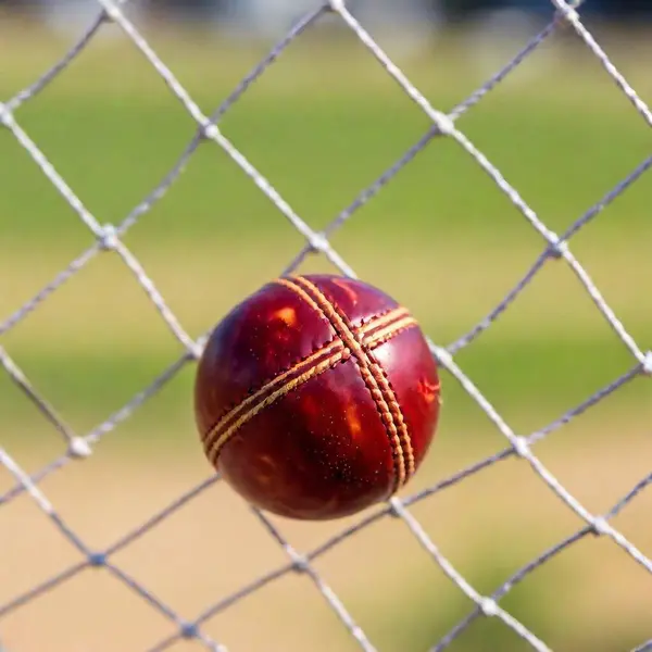 Cricket Stock Photos, Royalty Free Cricket Images | Depositphotos