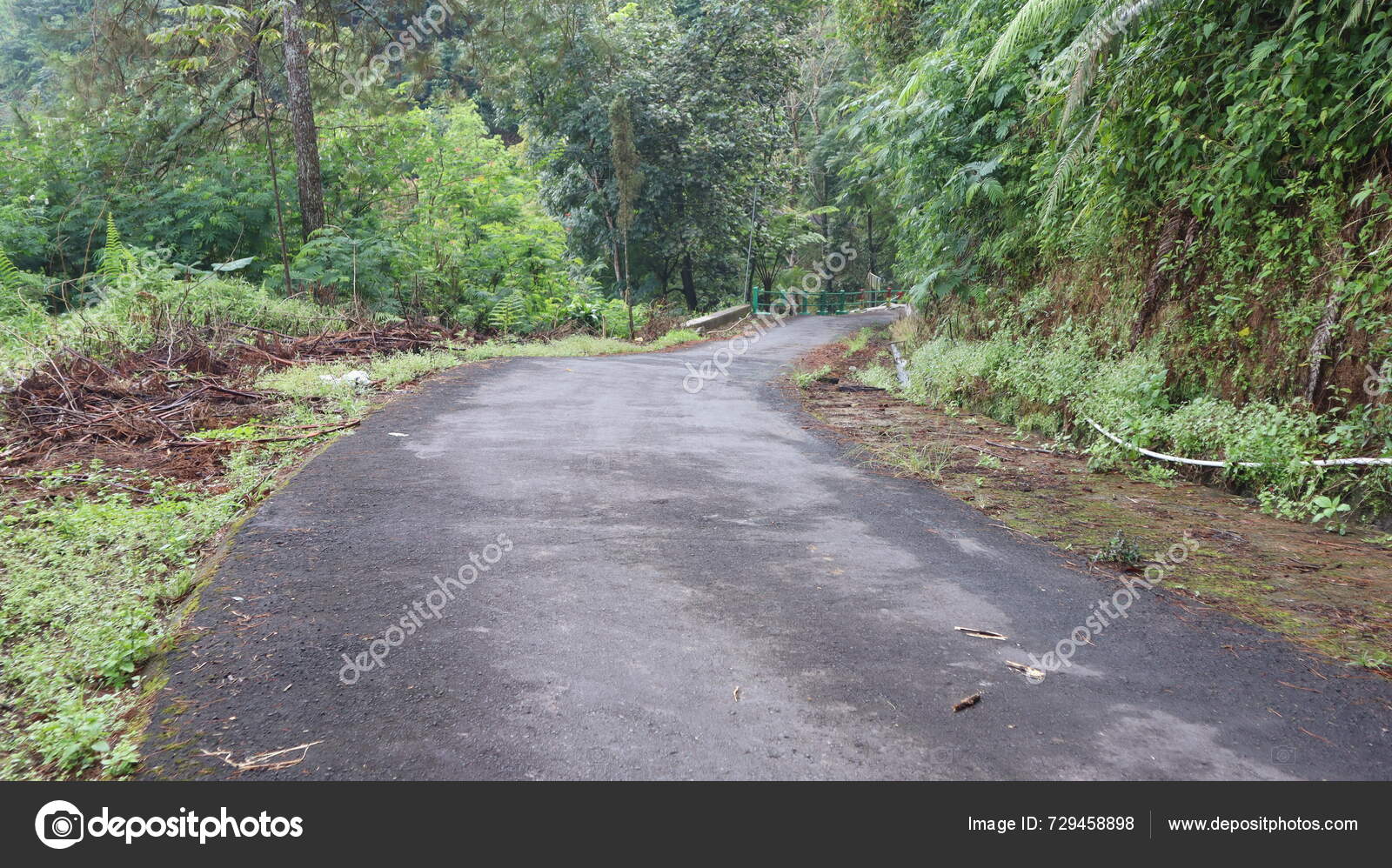 Beautiful Forest Asphalt Road Background — Stock Photo © Luasstd #729458898