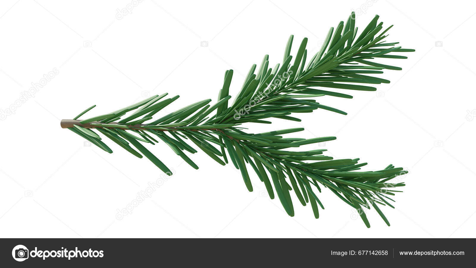 Christmas Tree Branch Isolated White Transparent Background Png Fir Pine — Stock Photo © gioiak2 ...