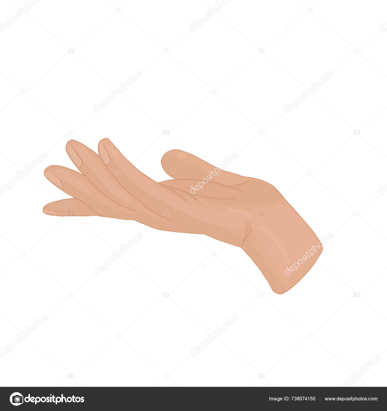 Right Hand White Background Vector Illustration — Stock Photo © Liart_5 ...