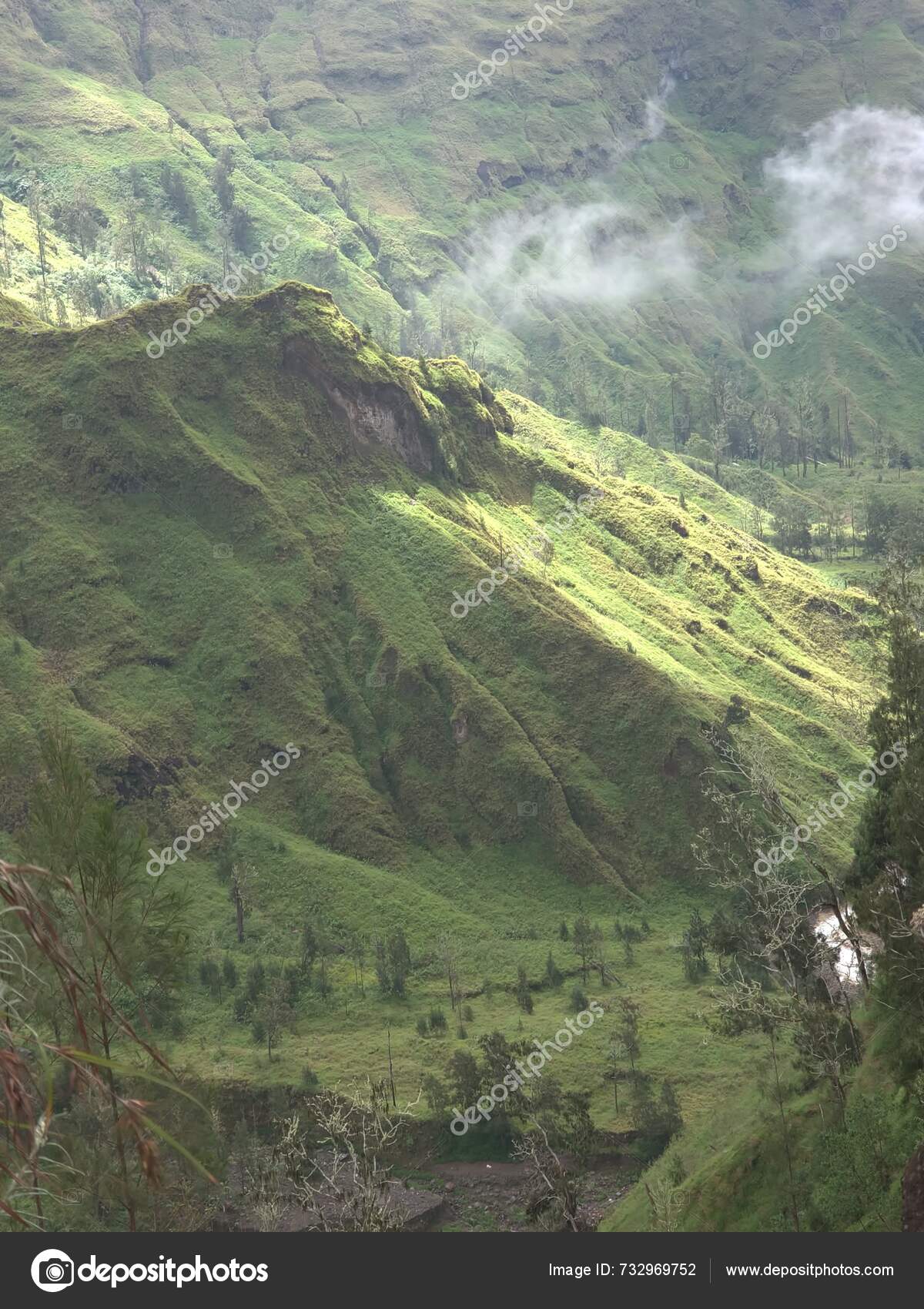 Mountain Range Lush Green Hillside Hillside Covered Grass Trees — Stock ...