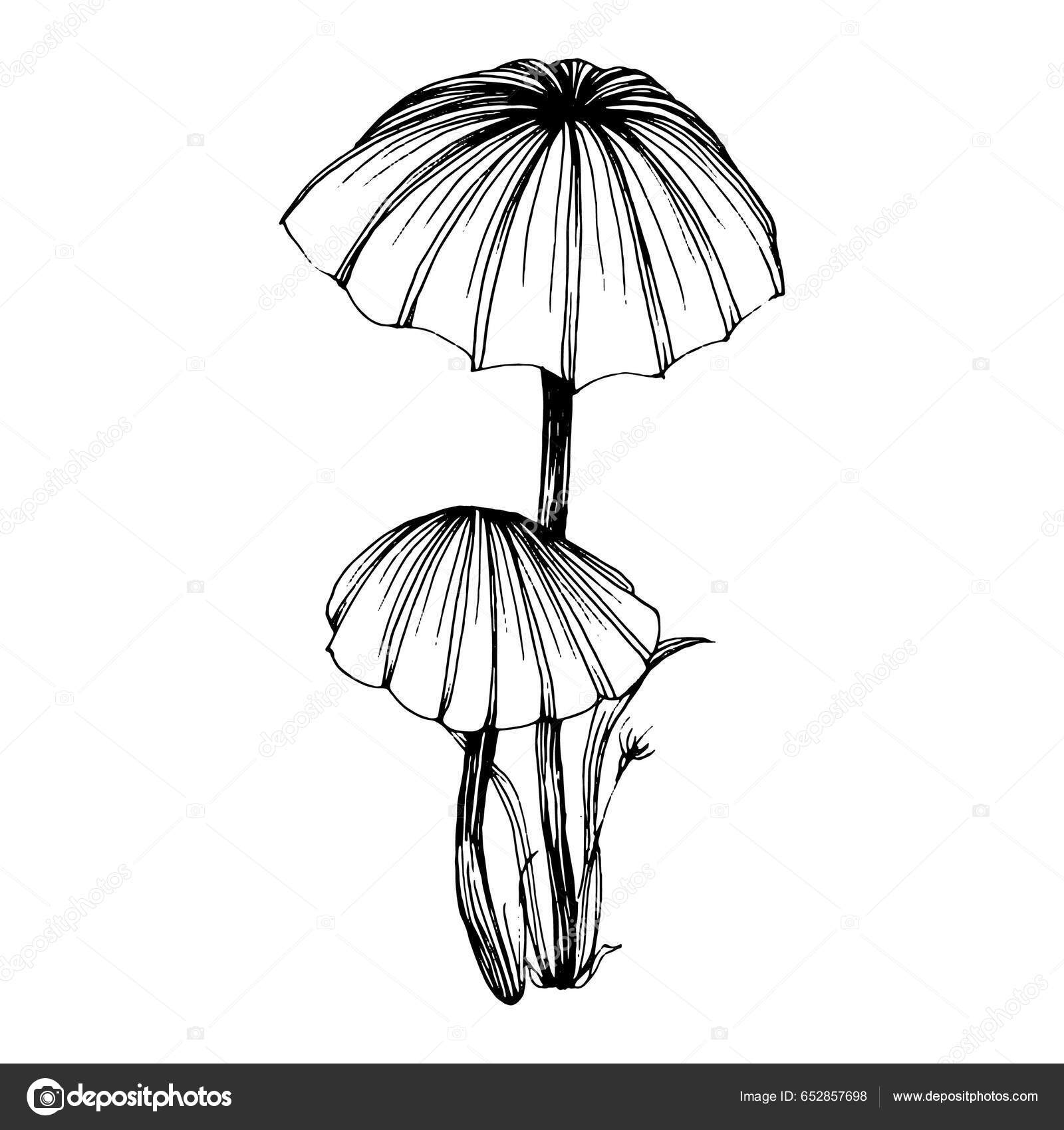 Boceto Ilustración Setas Para Logotipo Tatuaje Setas Altamente ...