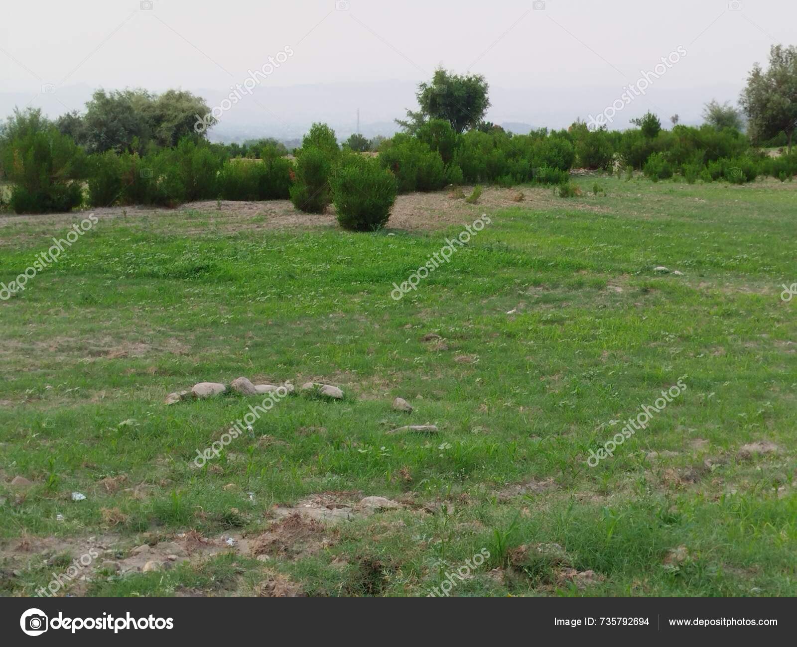 Perfect Field Spring Grass Sky — Stock Photo © umarsk #735792694