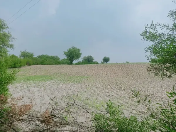 Multani mitti Stock Photos, Royalty Free Multani mitti Images ...