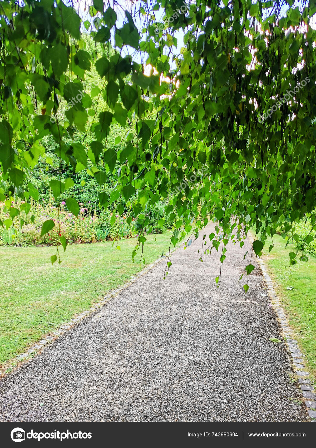Grey Path Hill Garden Pergola Park Grass Sides Green Foliage — Stock ...