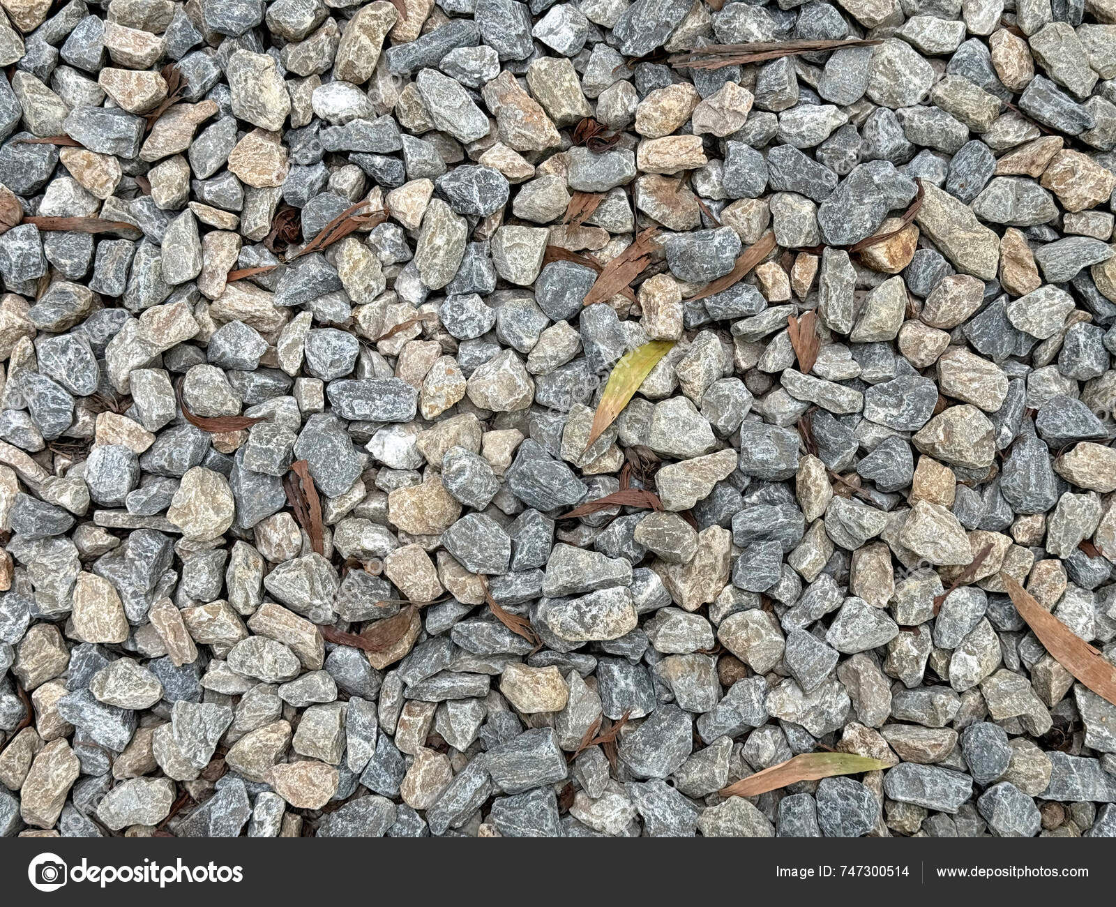 Close Grey Pebbles Texture Small Coral Rubbles Cobblestones Small Size ...