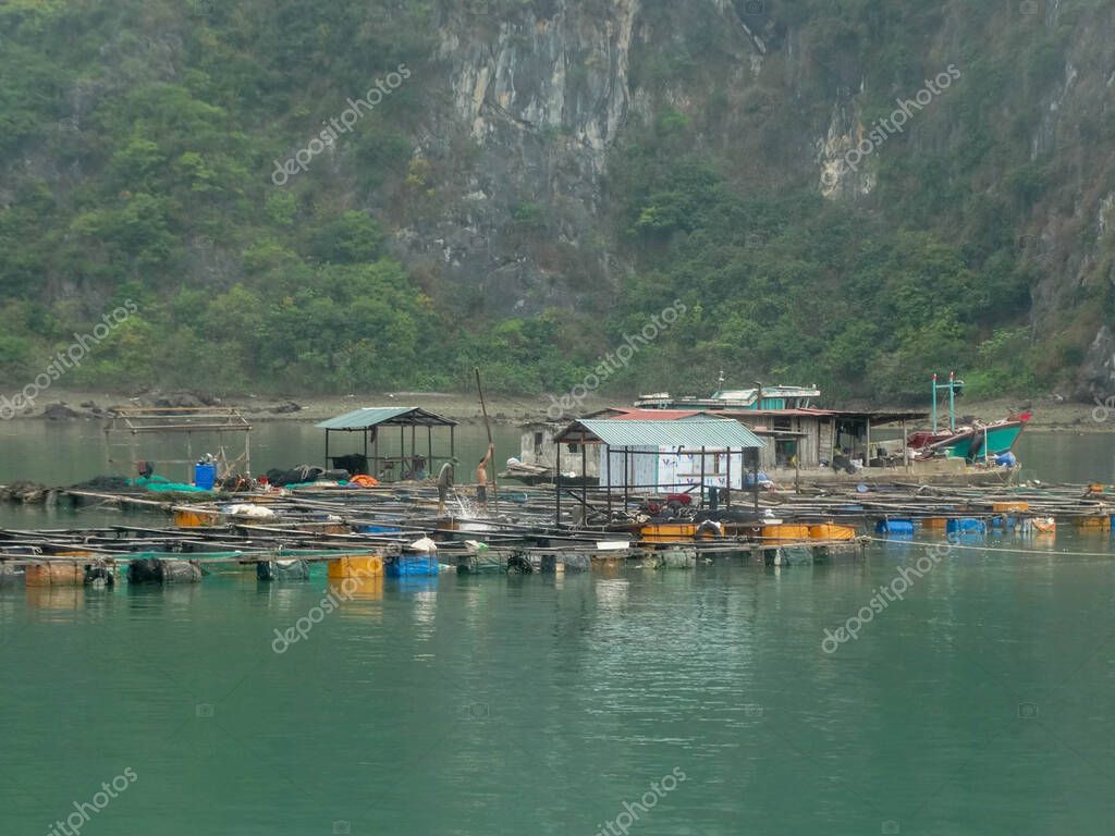 Una vista de una granja de peces primitiva en la bahía de Halong ...