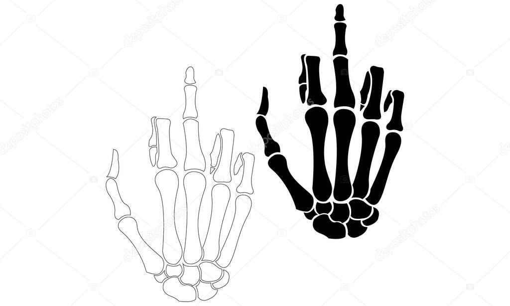 Skeleton Middle Finger, skeleton Hand, Skeleton, Skull Skeleton Hand ...