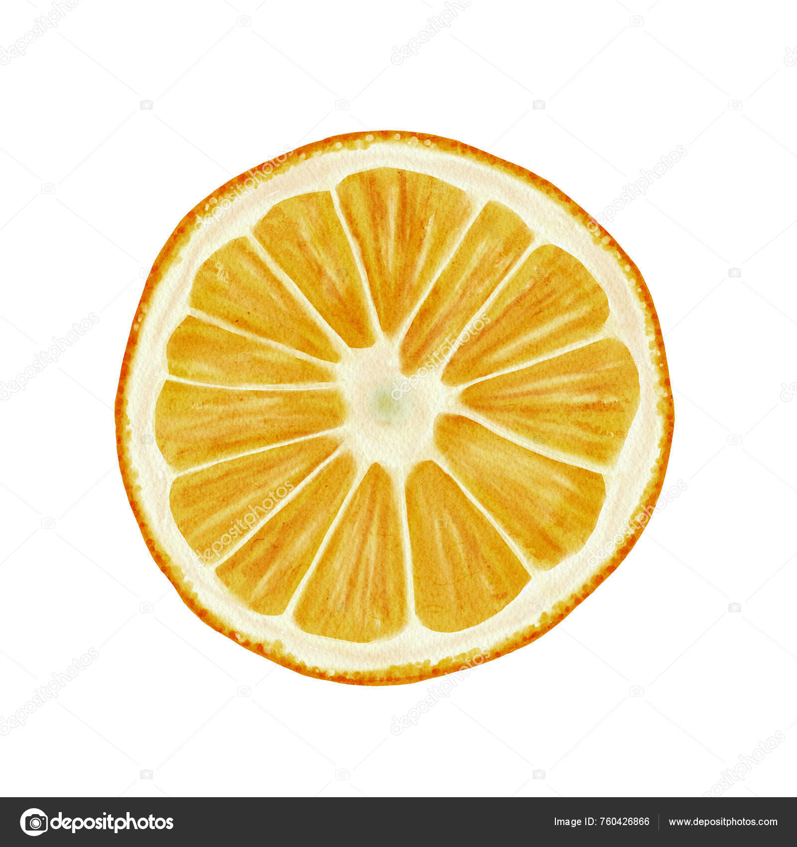 Orange Cut Half Juicy Orange Fruit Structure Structure Orange Visible ...