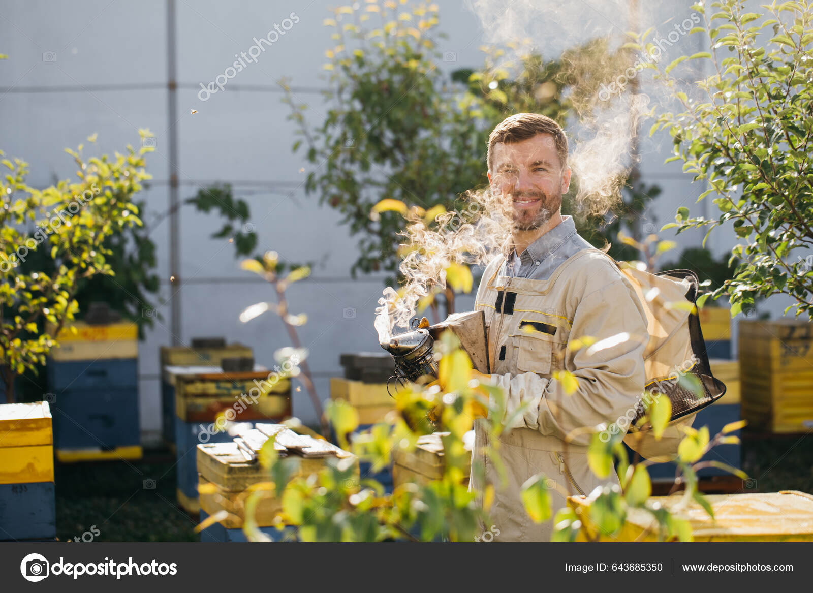 Portrait Male Beekeeper Smoking Honeycomb Beehive Bees Swarming Them ...