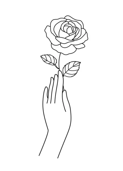 8,873,750 Rose hand drawn Vector Images | Depositphotos
