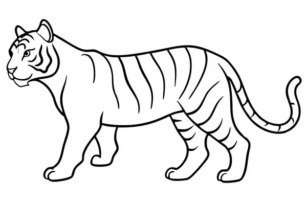 Tigris Vector Images | Depositphotos