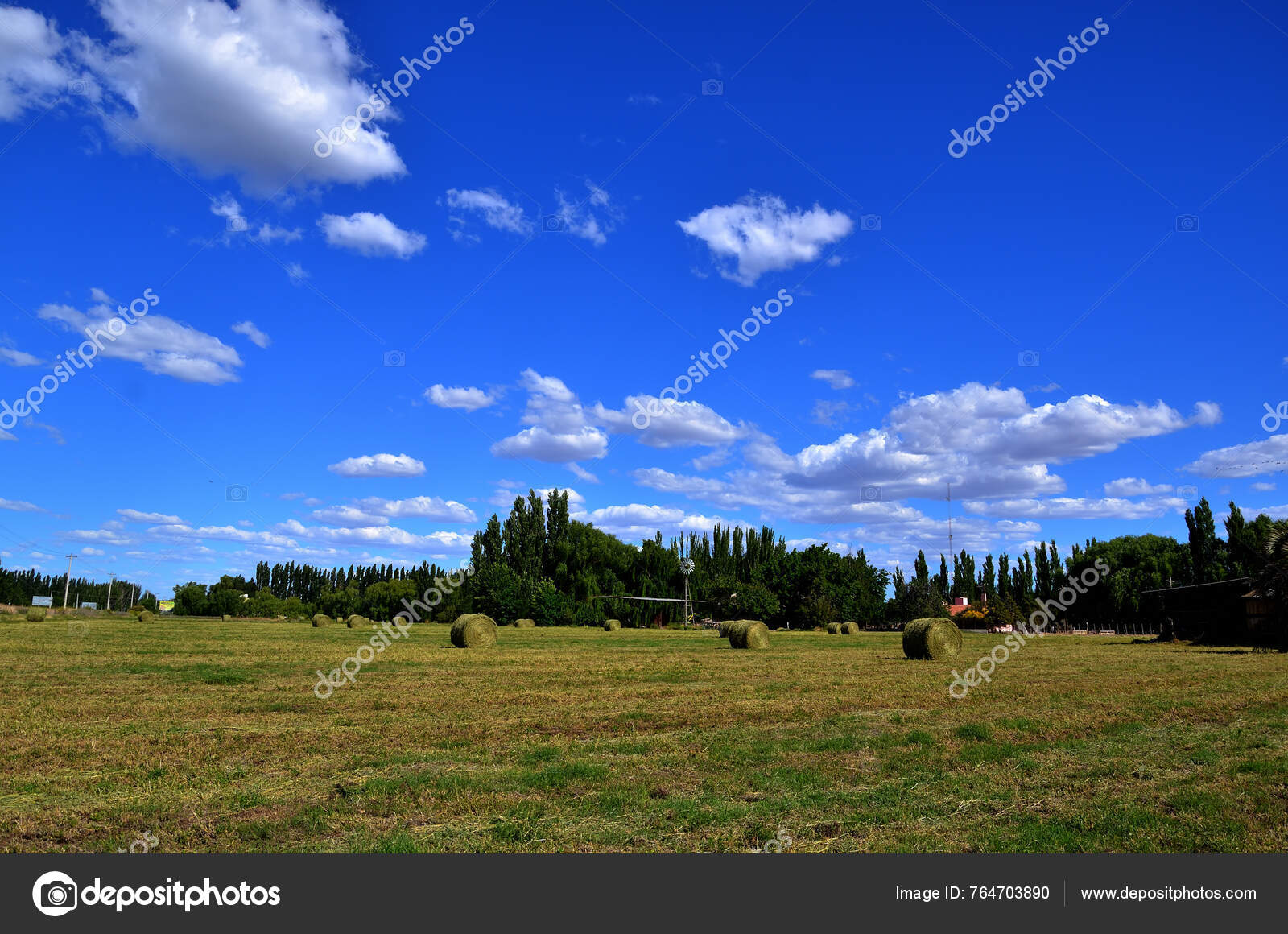 Alfalfa Rolls Ranch Patagonia Argentina — Stock Photo © ferna62 #764703890