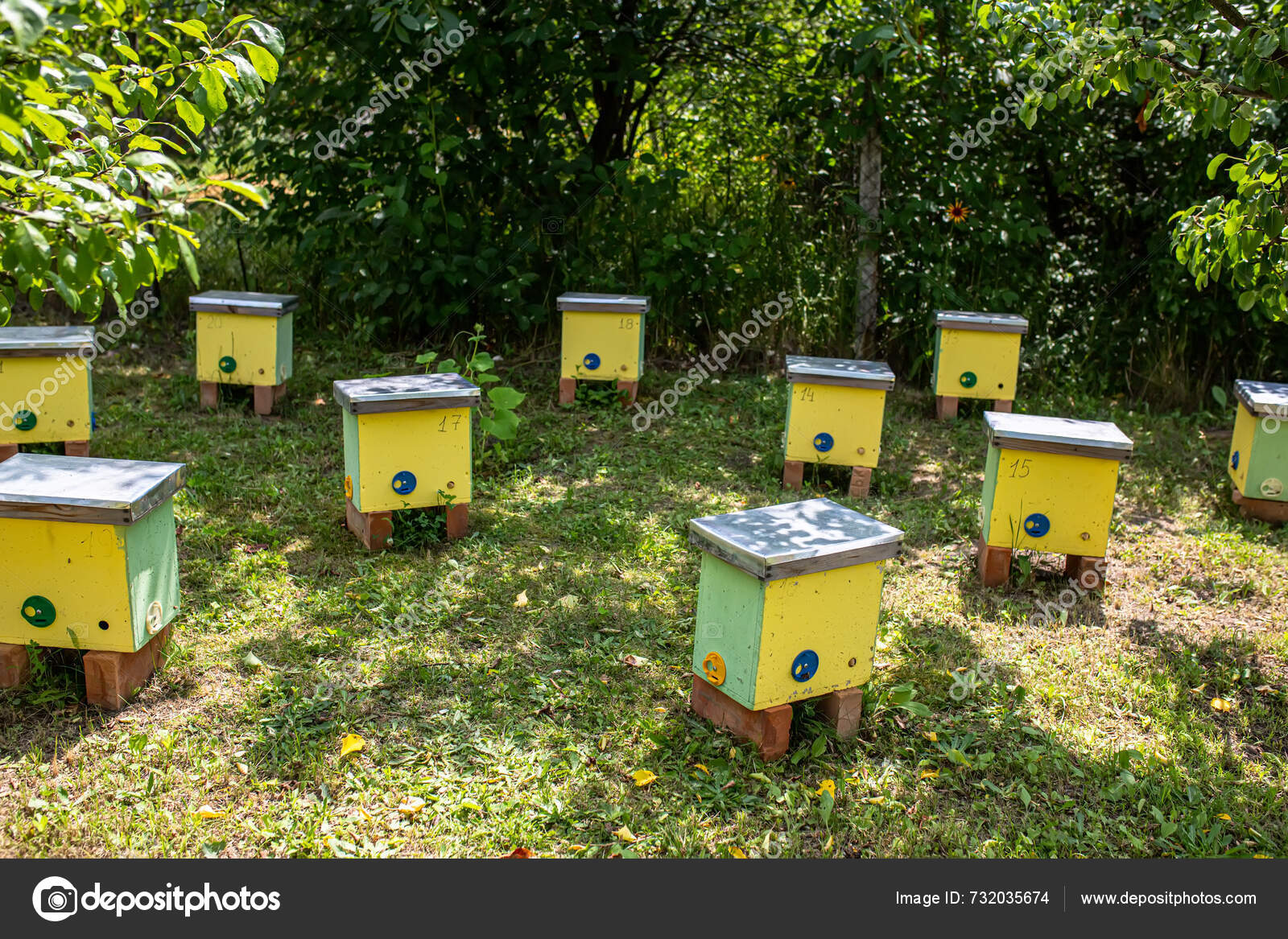 Hive Swarm Make Increase Colony Make Nucleus Rearing Rotating Brood ...