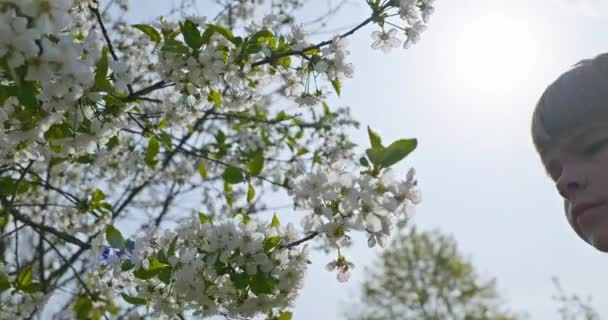 2,396 10 bit Videos, Royalty-free Stock 10 bit Footage | Depositphotos