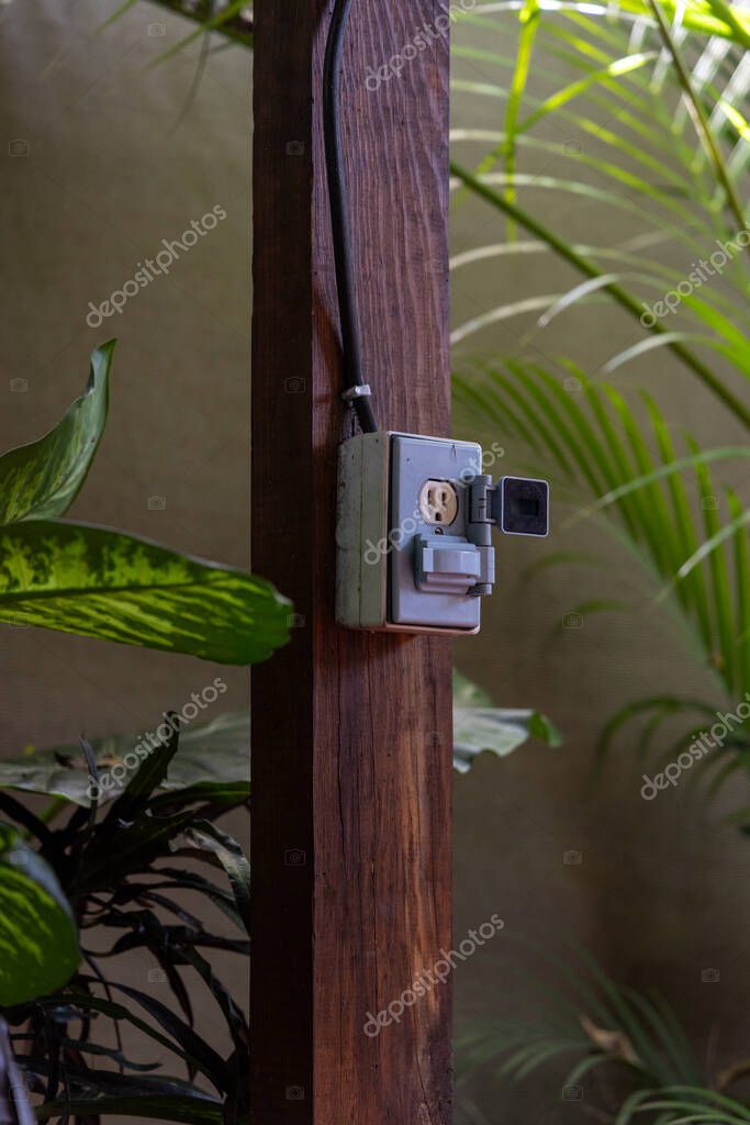 zócalo de luz en una viga de madera rodeada de plantas 2025