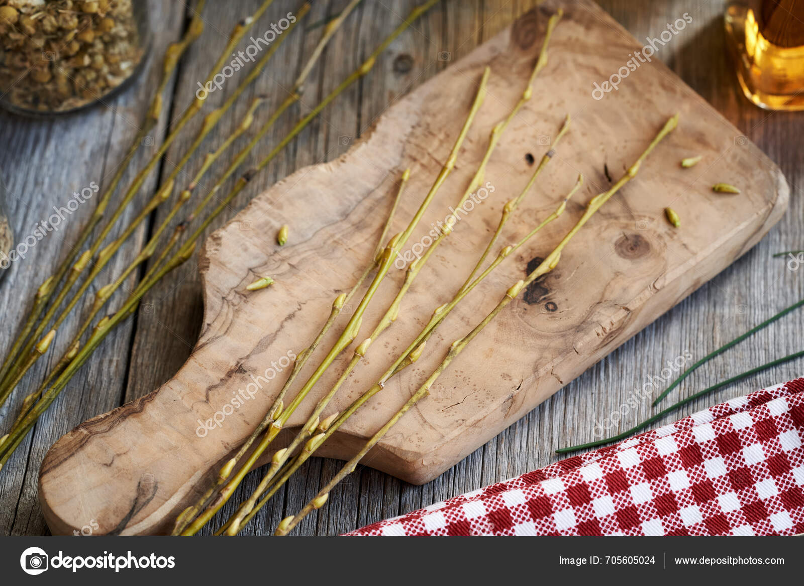 Young Willow Branches Buds Ingredient Gemmotherapeutic Herbal Tincture ...