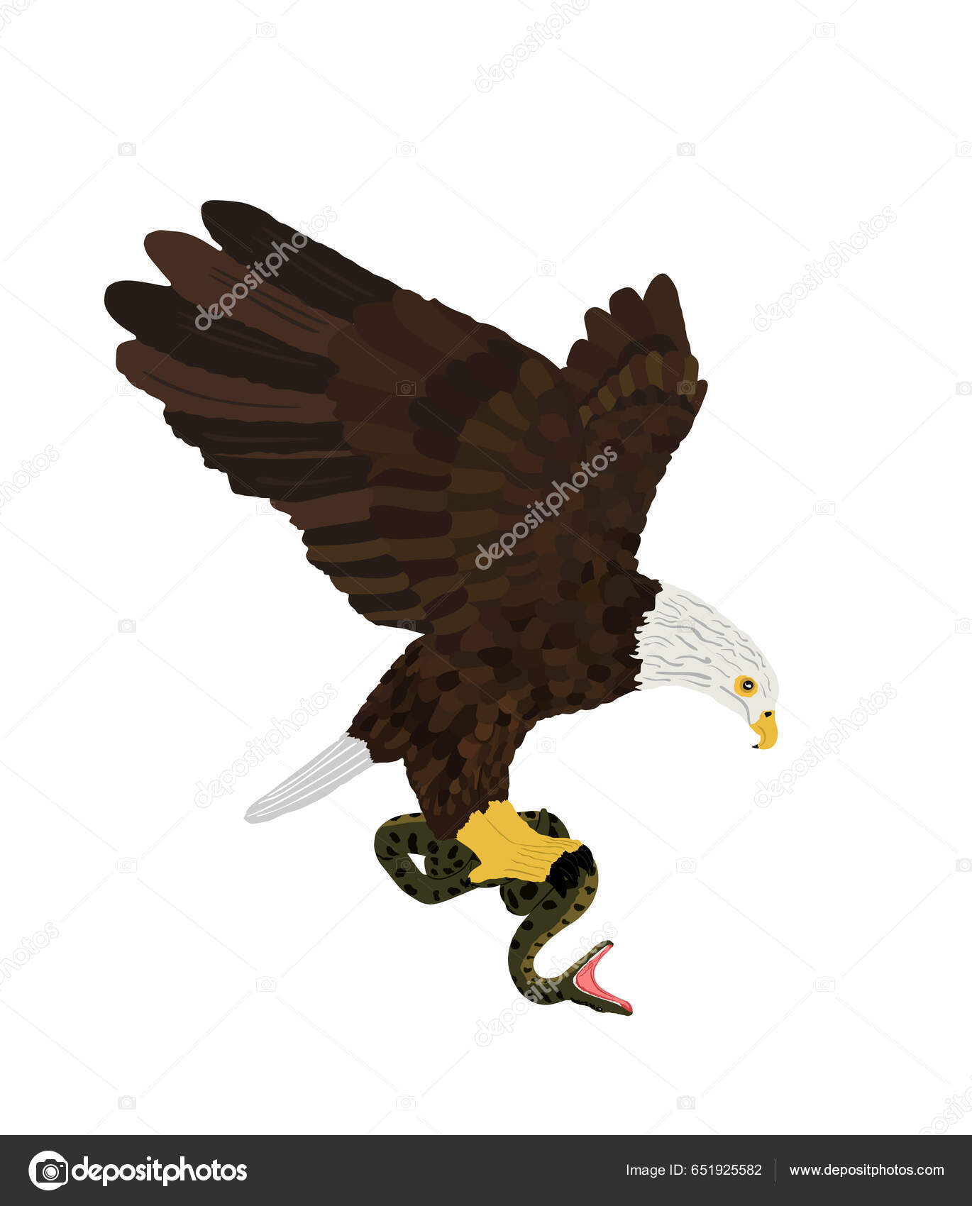 Wild Animal Attack On Hunter