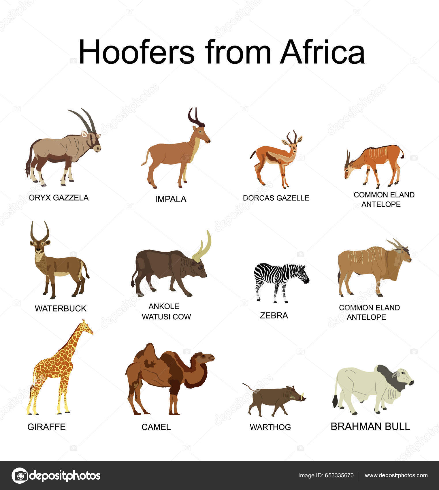 Africa Hoofers Animals Vector Illustration Isolated White Background ...