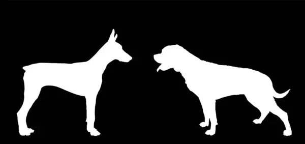 Alpha Wolf Bertarung Melawan Vektor Lawan Ilustrasi Siluet Terisolasi ...