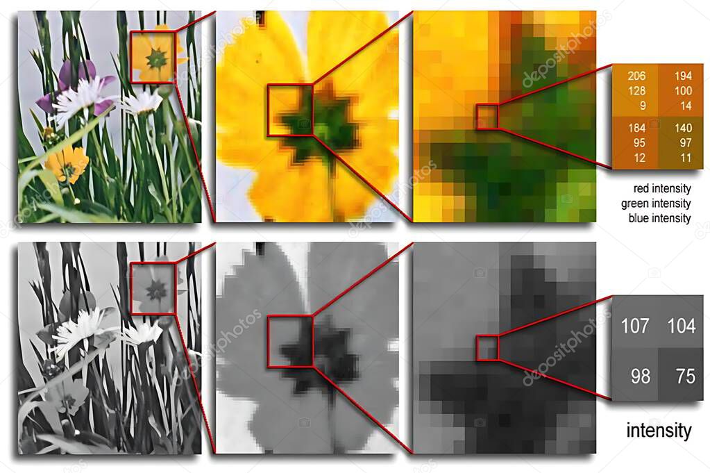 Una comparación ilustrativa entre intensidades de imagen de color y ...