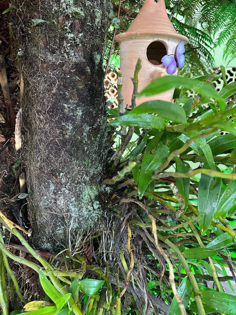 Primer plano de un tronco de árbol envuelto en exuberante follaje verde ...