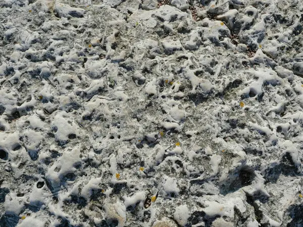 Piedras - Superficies líquidas Estructura de piedra. Textura de una ...
