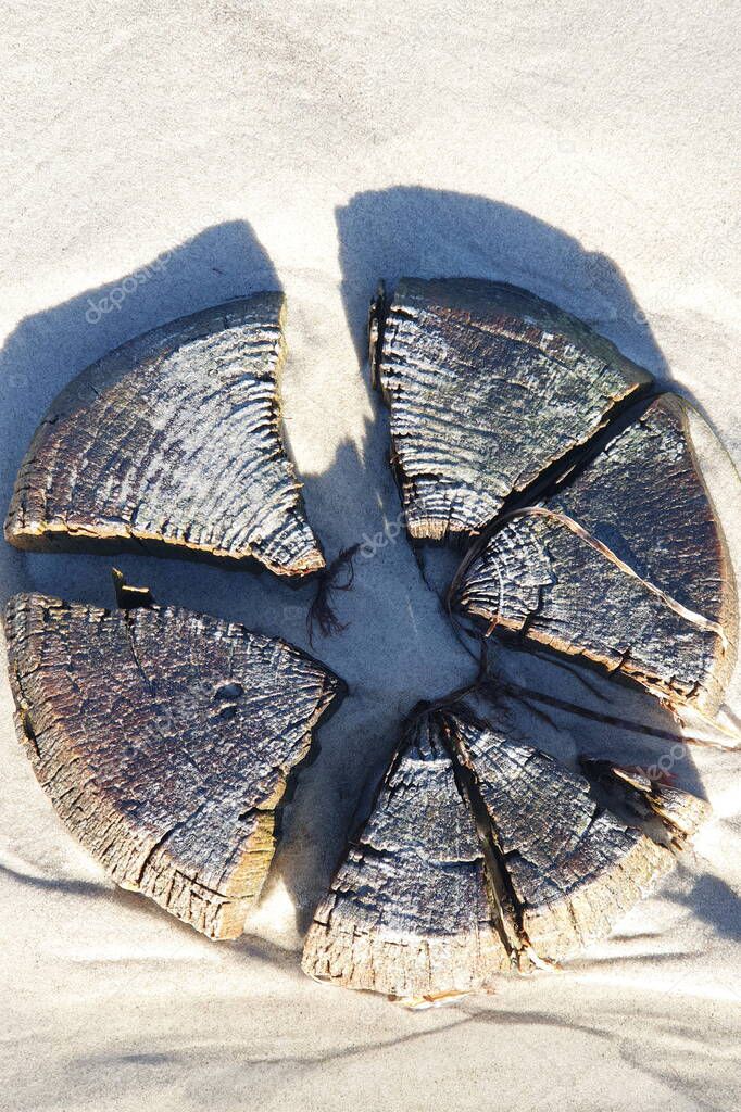 Jetty Top View. Los groynes sirven para la protección costera. La vista ...