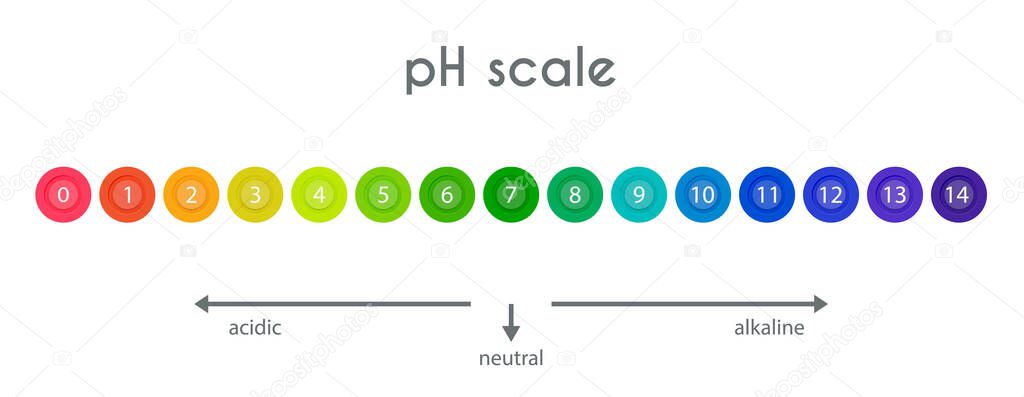 PH value scale chart for acid-alkaline solution. Acid-base balance infographic isolated on white ...