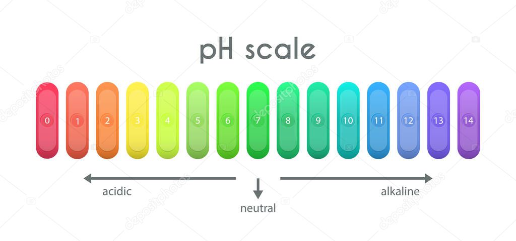PH value scale chart for acid-alkaline solution. Acid-base balance ...