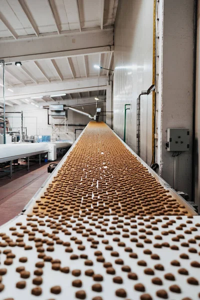 Enorme l nea de f brica para la producci n de dulces y galletas. Primeros planos del proceso de ...
