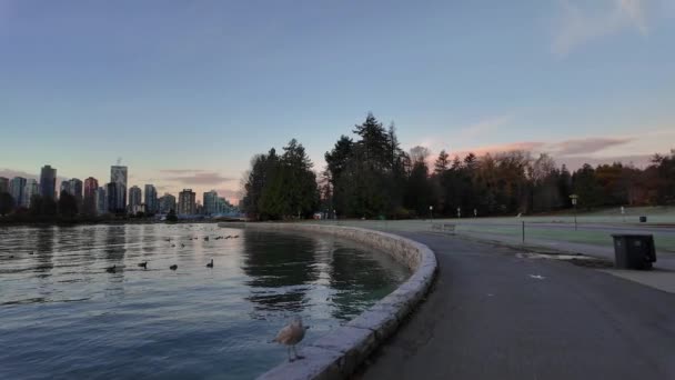 Vidéos pour Stanley promenade, Stanley promenade clips vidéo HD / 4K ...