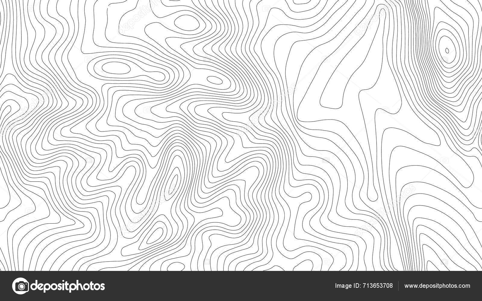 Seamless Vector Topographic Map Background White Dark Line Topography ...