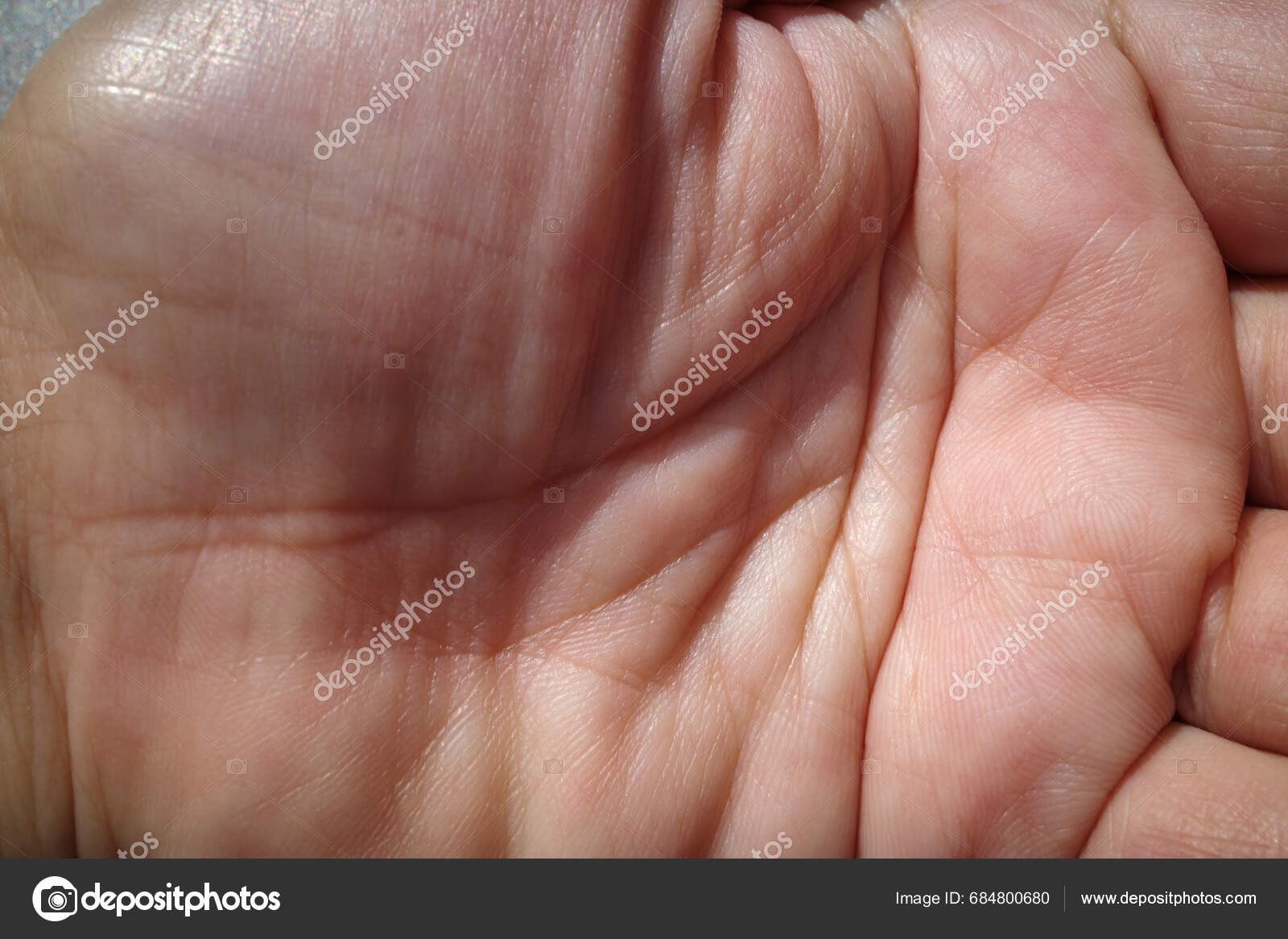 Woman's Left Hand Palm Close Macro Shot — Stock Photo © eyepark #684800680