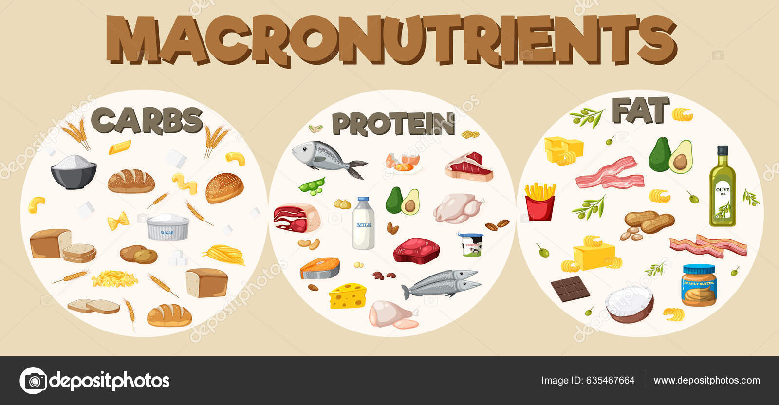 Macronutrients Diagram Food Ingredients Illustration Stock Vector Image ... Macronutrients Diagram Food Ingredients Illustration Stock Vector Image ...
