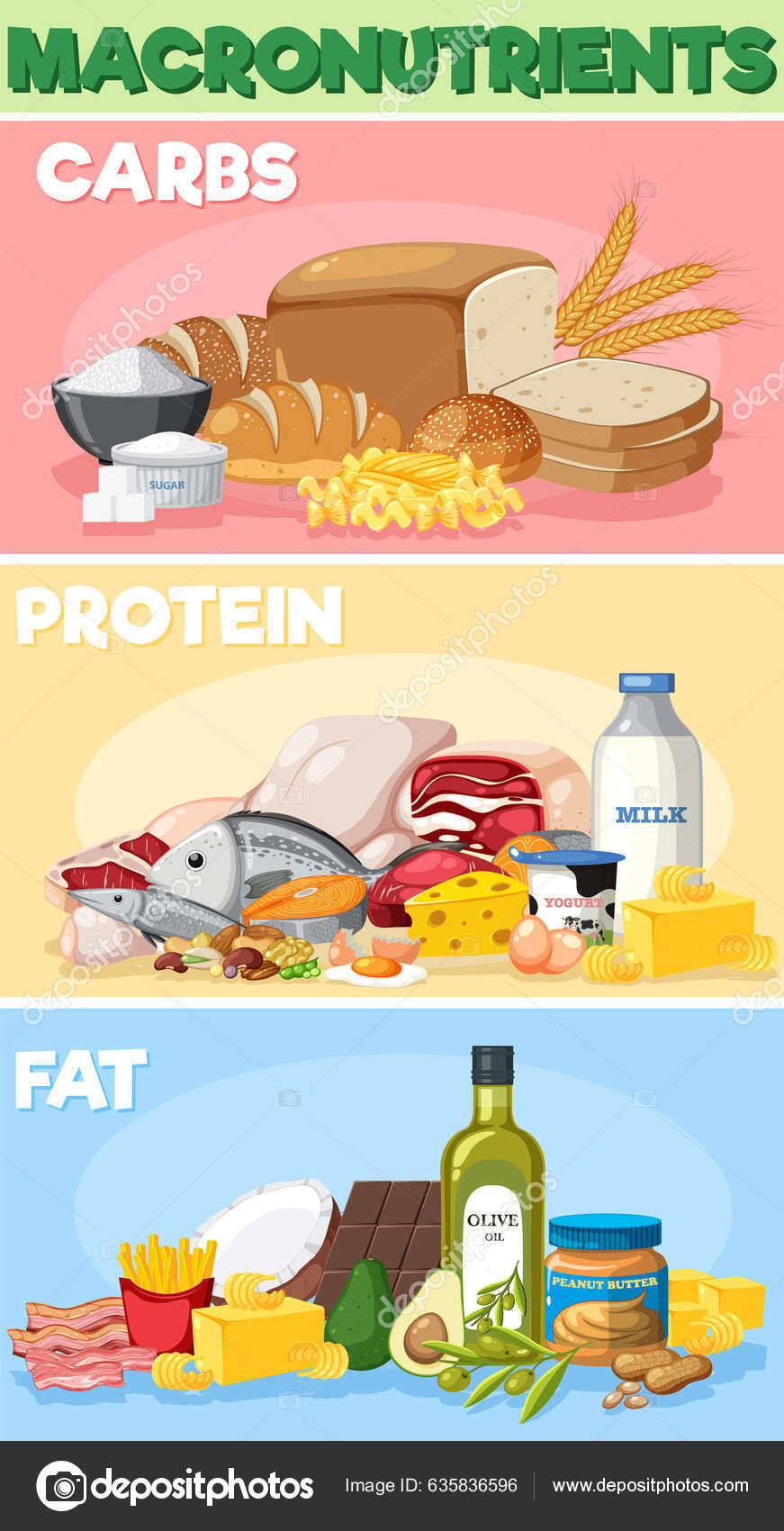 Macronutrients Diagram Food Ingredients Illustration Stock Vector Image ... Macronutrients Diagram Food Ingredients Illustration Stock Vector Image ...
