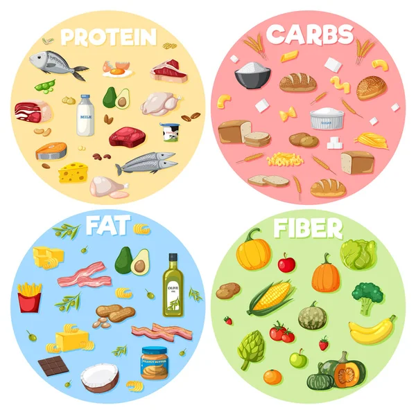 Four Main Food Groups Illustration Stock Vector by ©brgfx 639533080