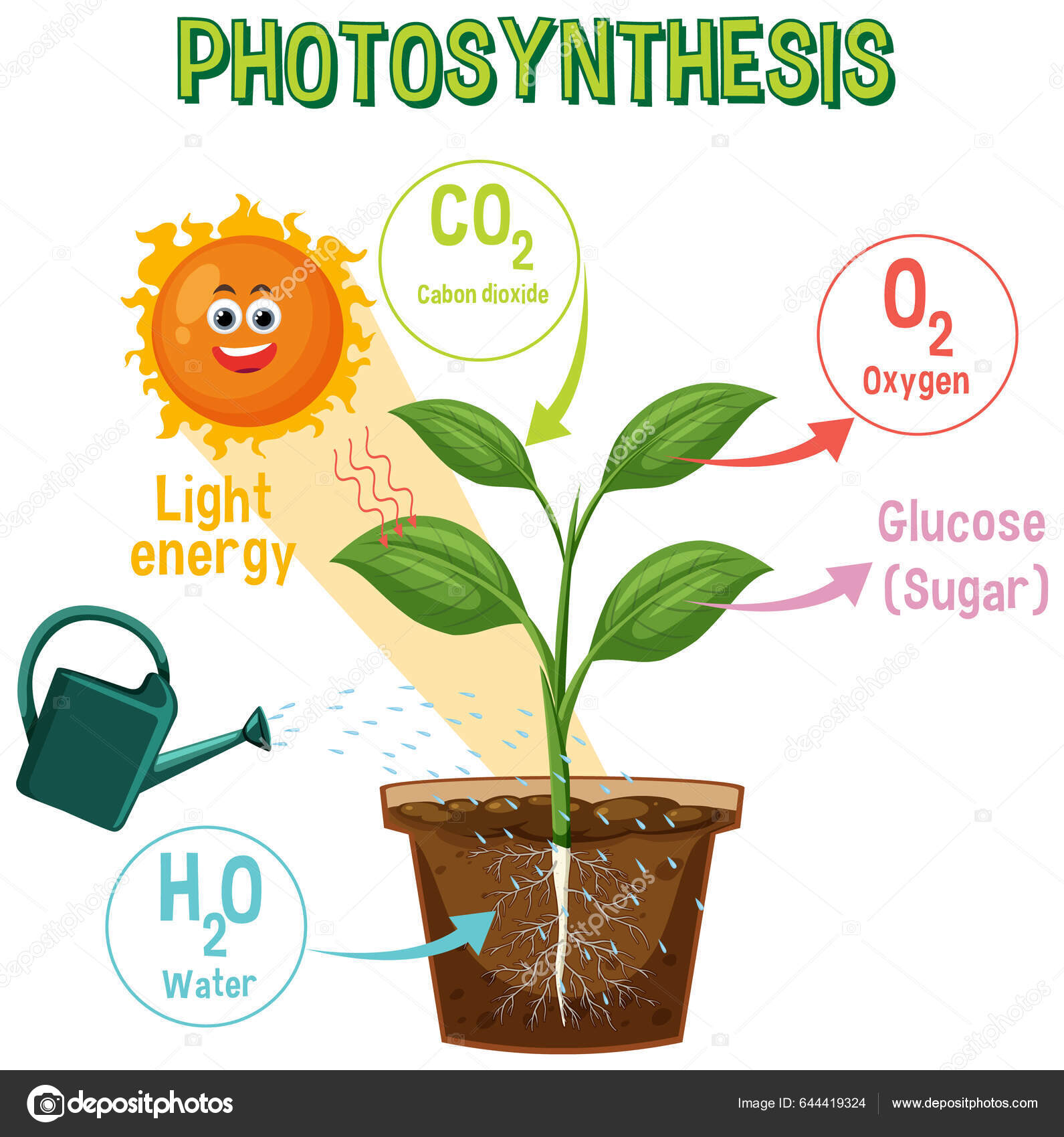 Clipart Photosynthesis Light