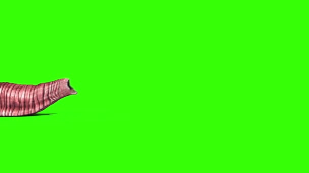 2,816 Green screen monster Videos, Royalty-free Stock Green screen ...